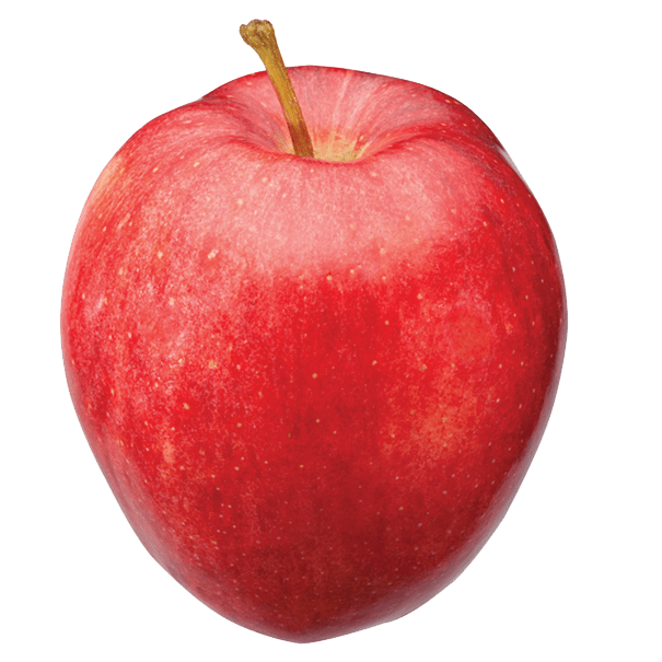 Gala - Michigan Apples