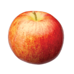 Michigan Apple Varieties - Michigan Apples