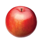 Michigan Apple Varieties - Michigan Apples