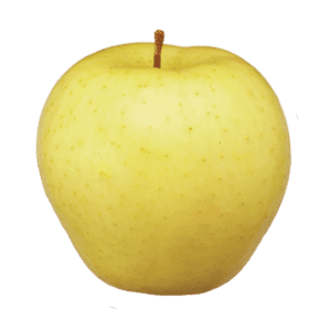Michigan Apple Varieties - Michigan Apples