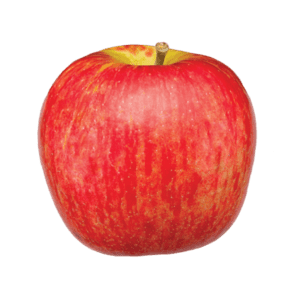 Michigan Apple Varieties - Michigan Apples