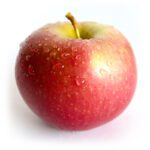Michigan Apple Varieties - Michigan Apples