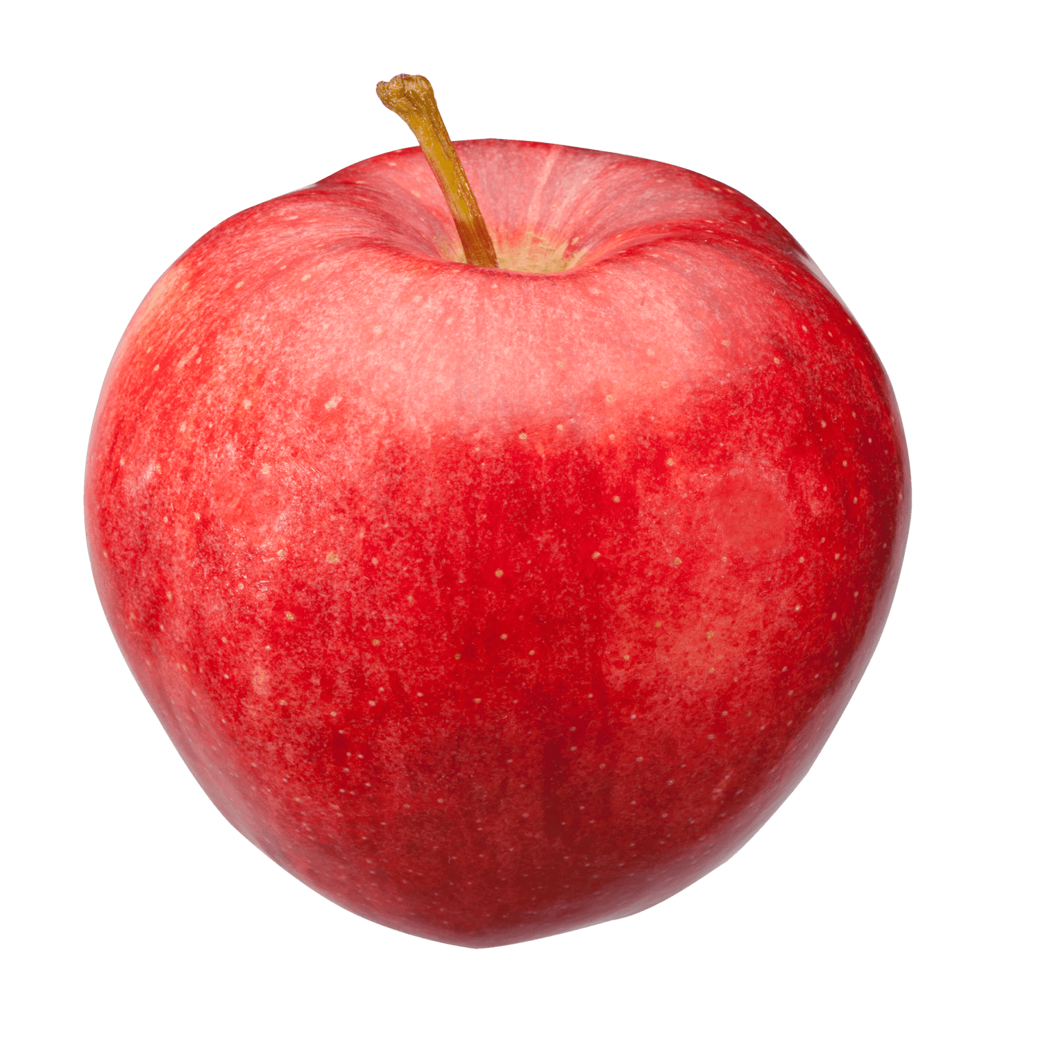 Michigan Apple Varieties - Michigan Apples