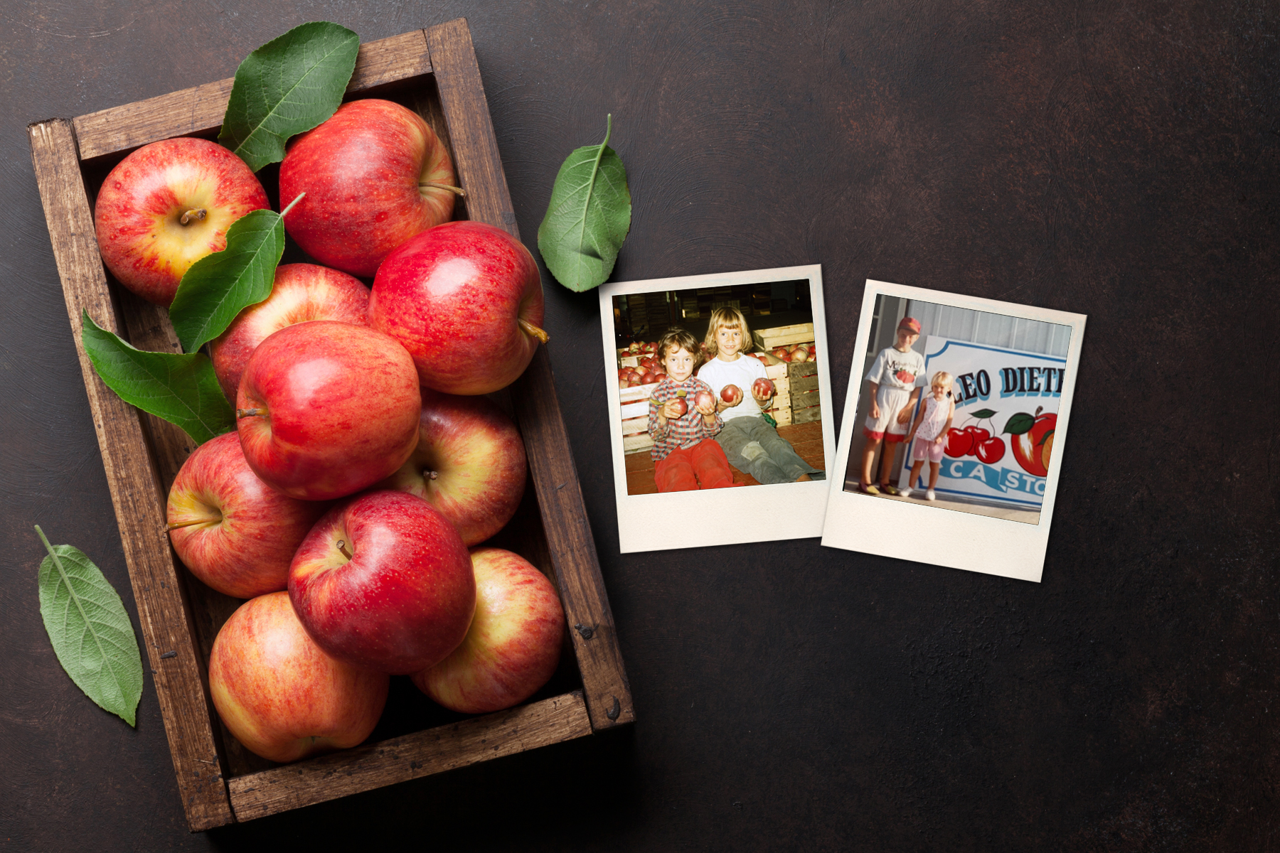 Michigan Apple Facts and History - Michigan Apples